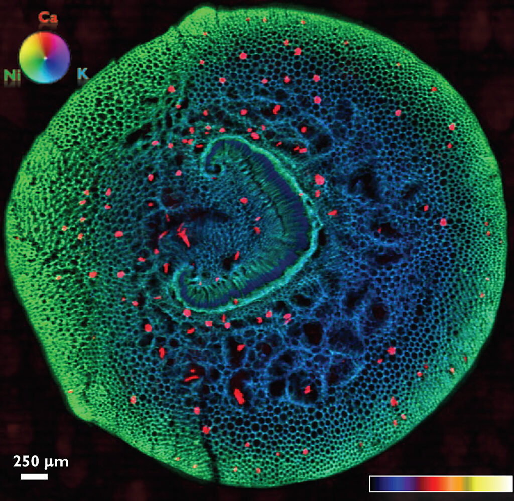 Experimental Condensed Matter Physics Accelerator - HIA: Heavy Ion ...